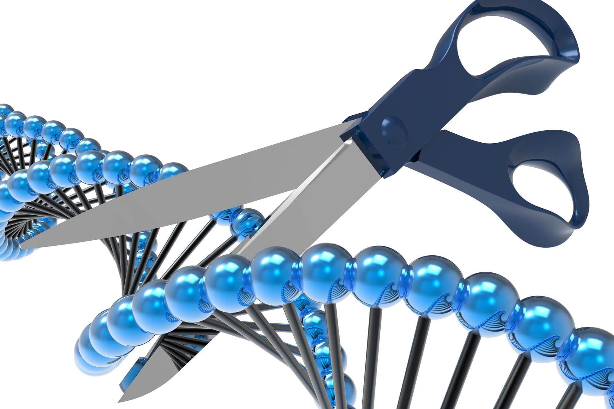 Genetic Scissors: Snipping DNA – A Slice of Pi : MSA's Student Newspaper